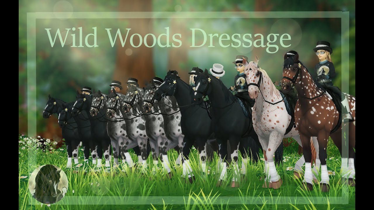 Wild Woods || SSO Dressage - YouTube