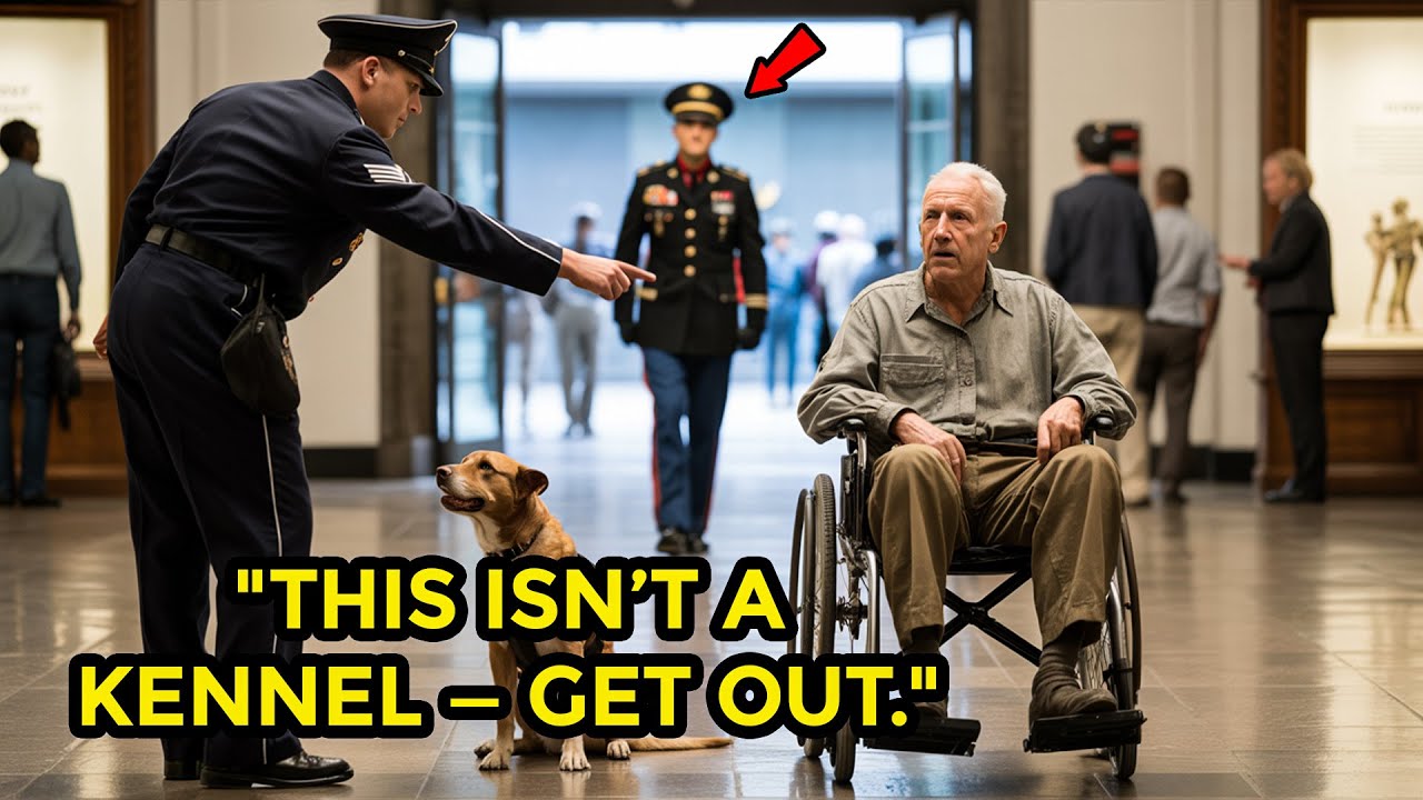 Museum Guard Kicked Out Veteran With His Service Dog—6 Minutes Later ...