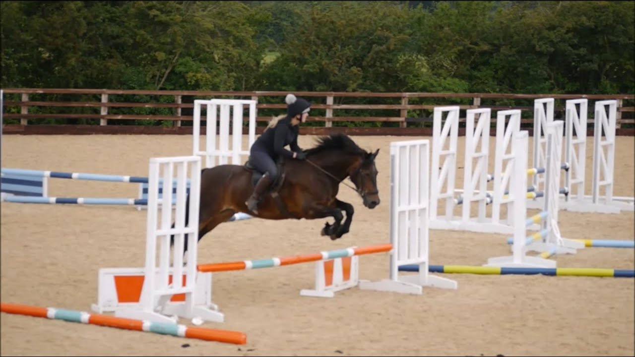 Sid - Showjumping clinic - August 2021 - CCR Equestrian - YouTube