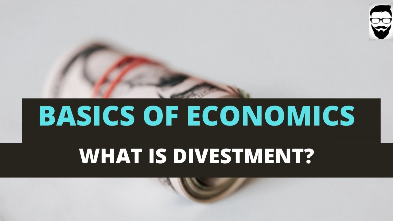 what is Divestment Or Disinvestment | Basic Of Economics | Vivek Guruji ...