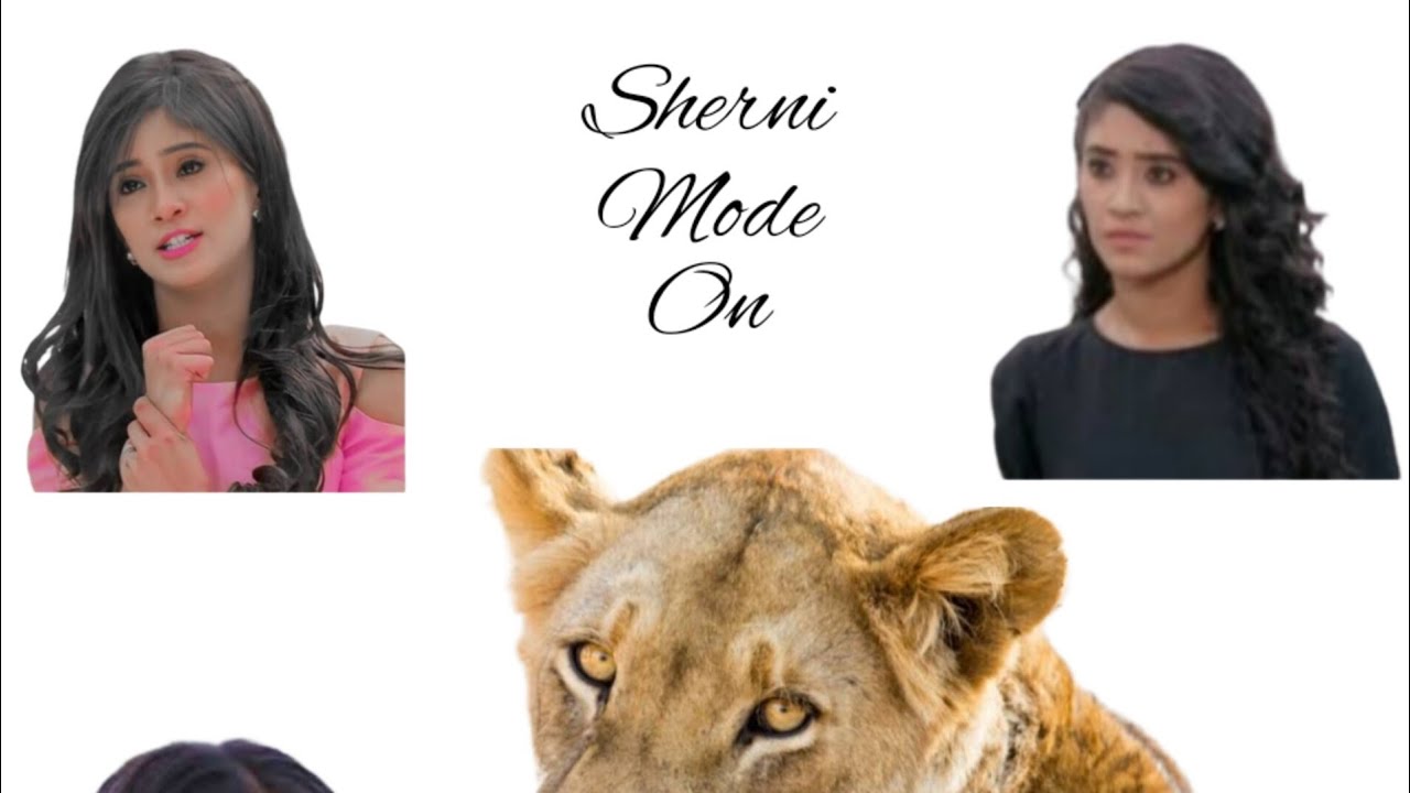 Sherni mode on Naira #trending ##viral #trending - YouTube