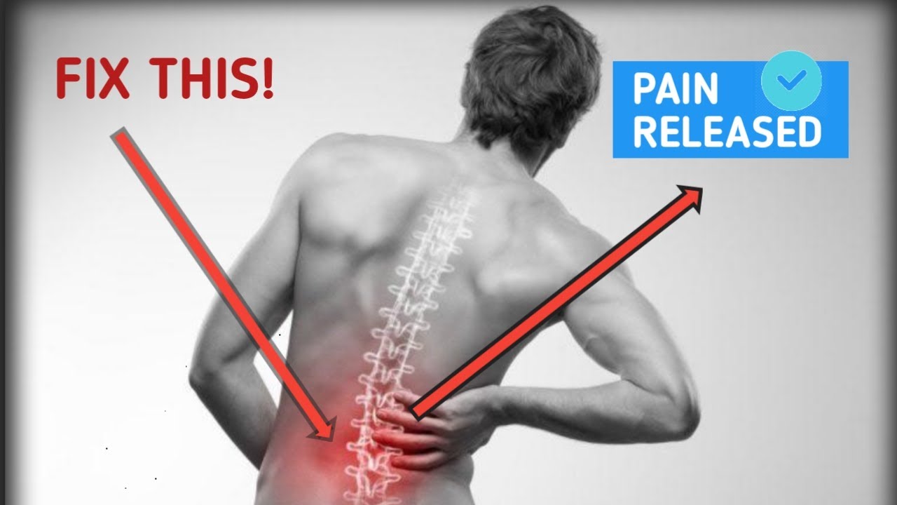 4 Effective Exercises for Alleviating your Lower Back Pain | pain ...