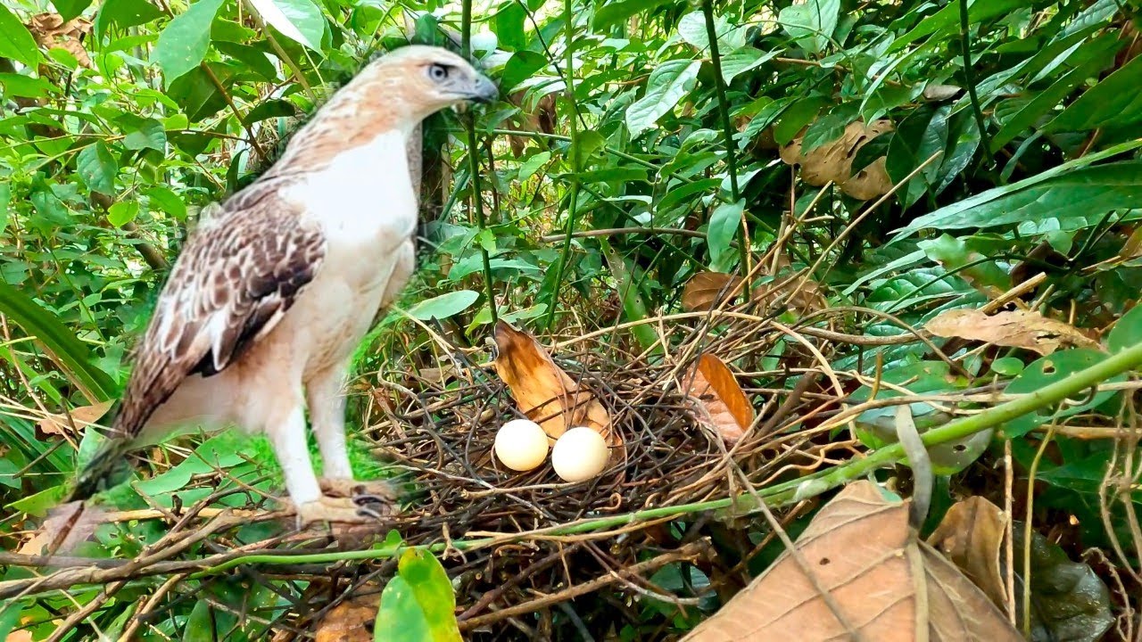 TATAY EMBOY MATINDING INIT PAGOD AT HIRAP ANG TINIIS MAHANAP LANG SI ...