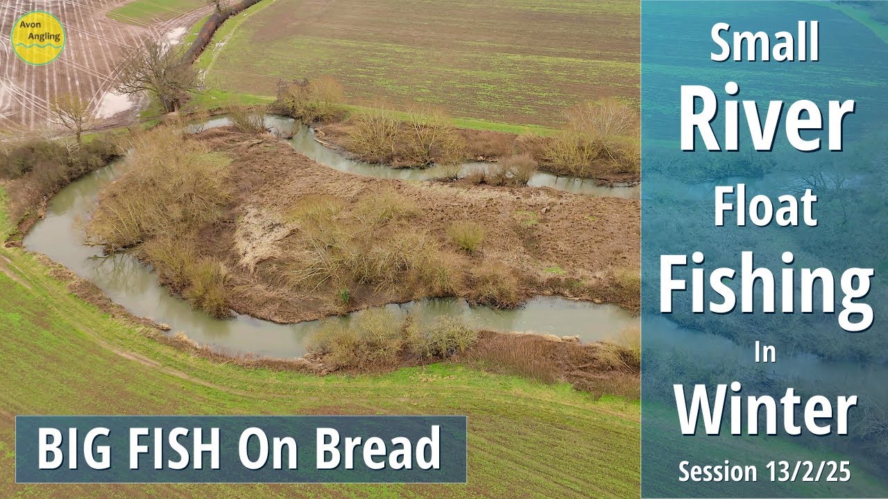 SMALL RIVER BIG FISH - Fishing With The Stick Float & Bread -13/2/25 (Video 556) - YouTube