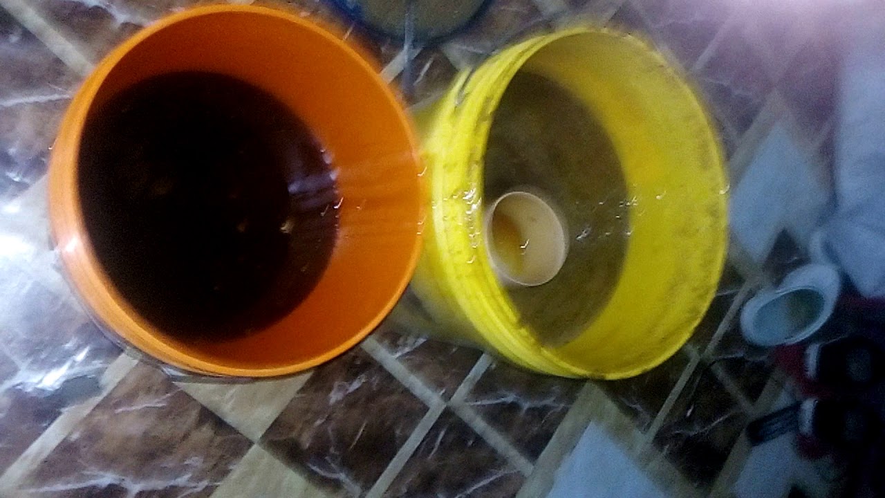 Soko jipya LA asali mbichi bora. - YouTube