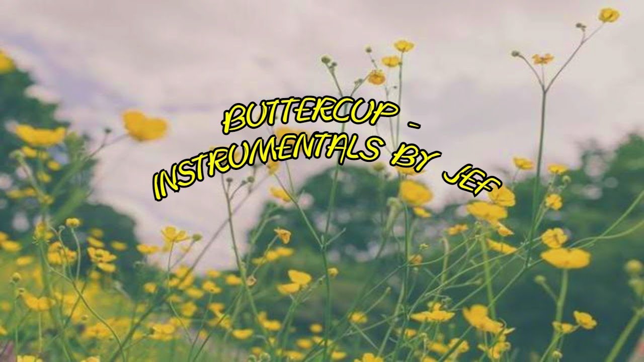 Buttercup - Jack Stauber [instrumentals by jef] - YouTube