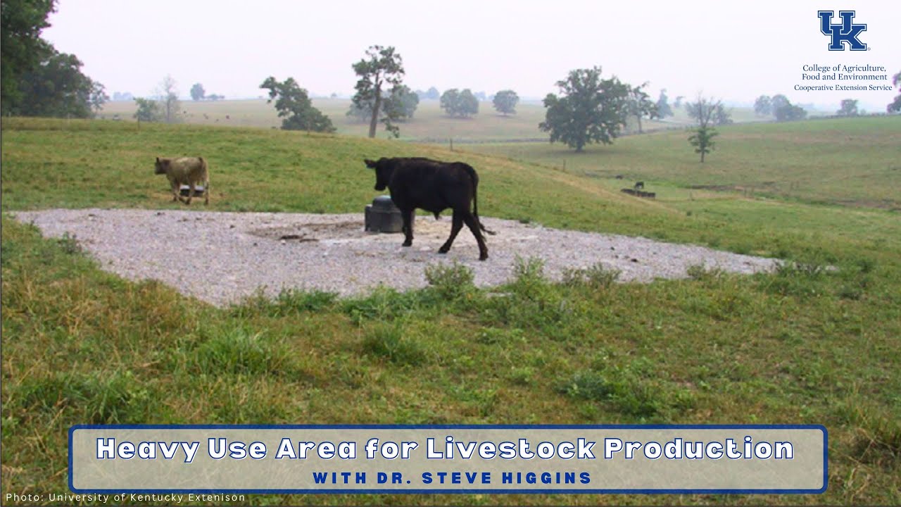 Heavy Use Area for Livestock Production - YouTube
