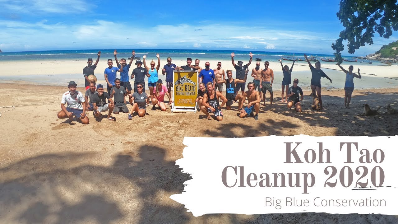 Big Blue Conservation | Koh Tao Cleanup 2020 – Koh Tao, Thailand - YouTube