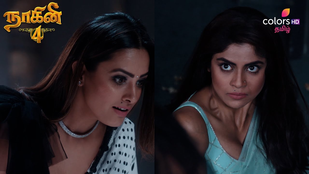 Naagini S4 | நாகினி S4 | Ep 20 | Manasa Vanishes Brinda Seeks the Truth ...