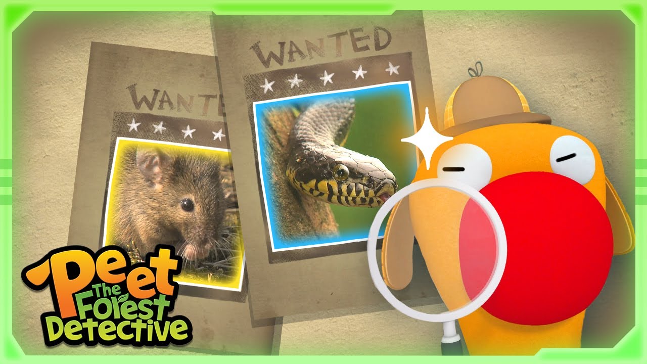 Lizard Tails Everywhere!? 🦎🔍| Full Episode | Cartoons for Kids | Peet ...