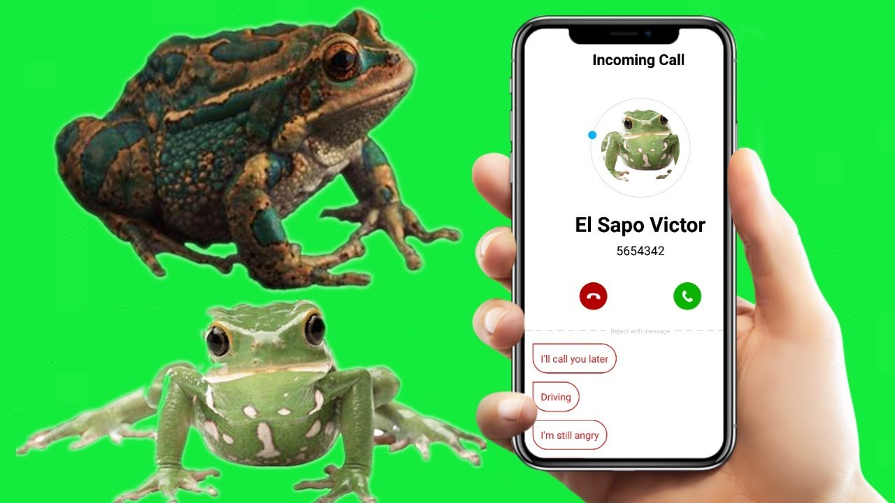 Llamada del Sapo Victor Entretenida - YouTube