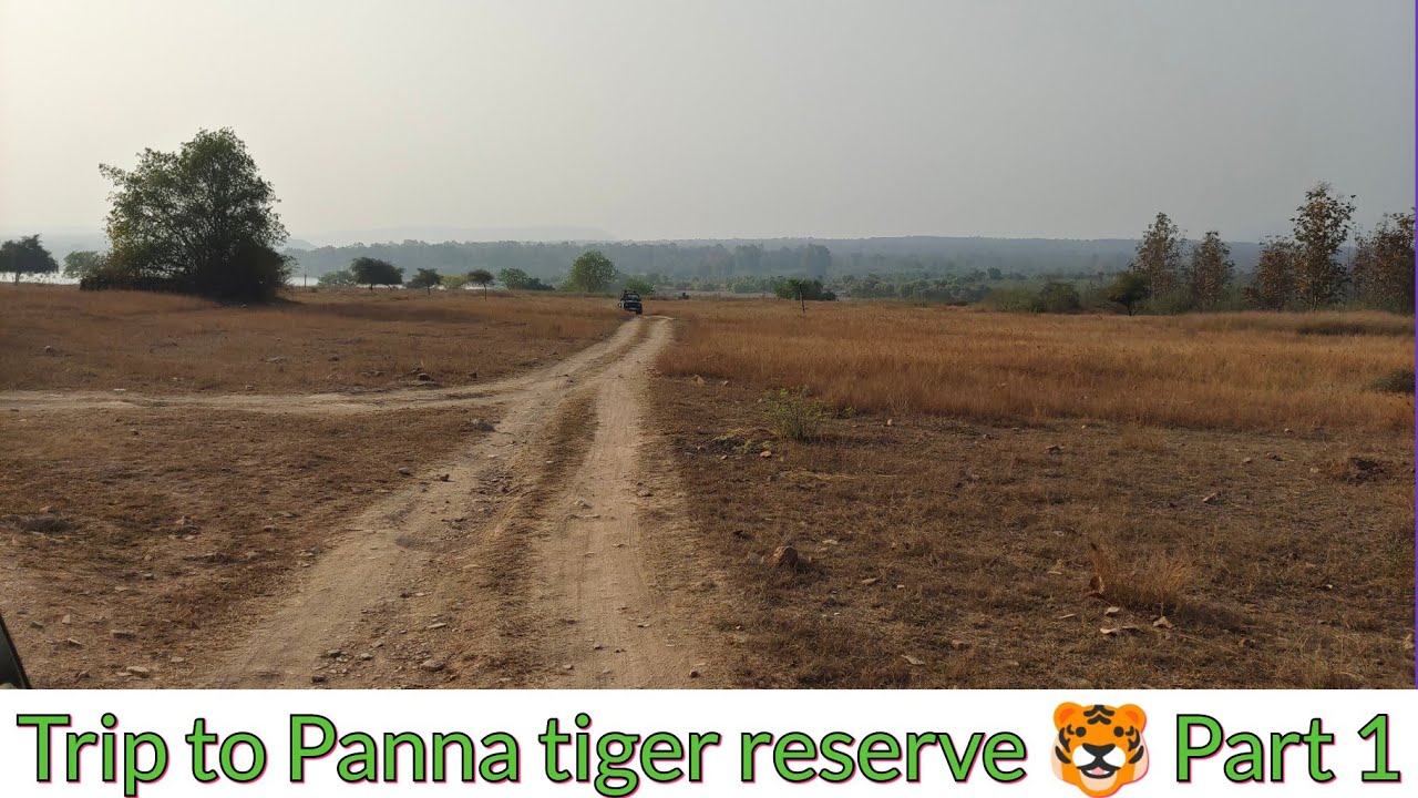 Panna Tiger Reserve complete tour guide video (part 1) | Tiger safari ...