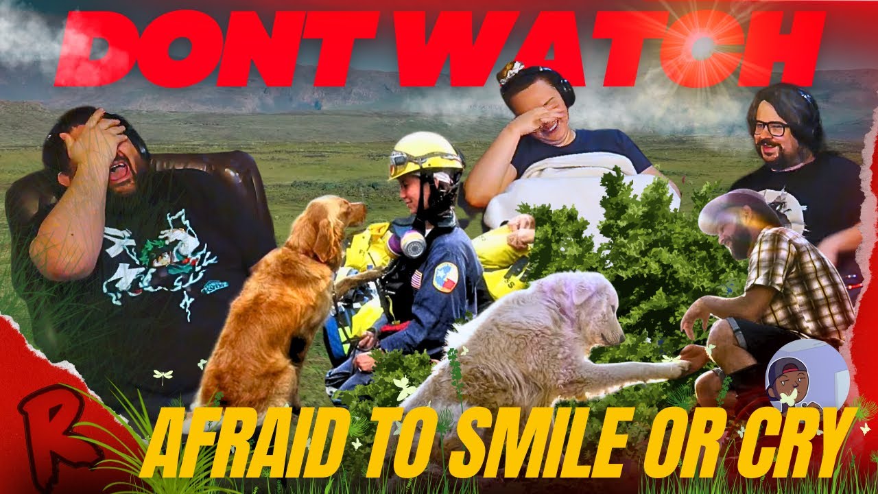 Don’t Watch This Video If You’re Afraid to Smile (Or Cry) - @mndiaye_97 ...