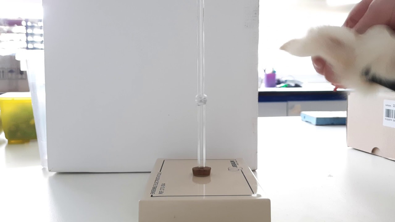 Électrostatique - Ébonite frottée et pendule - YouTube