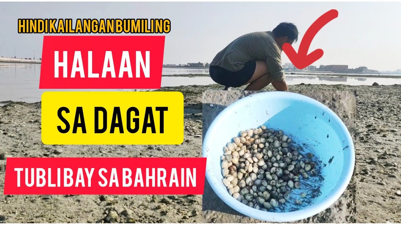 biyaya Ng dagat pinapulot ko lng Ang halaan TUBli bay Ng bahrain - YouTube