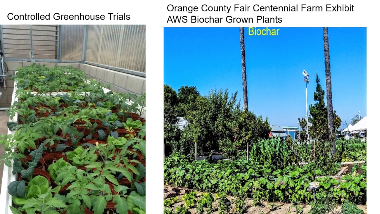 Steve McCorkle - YouTube