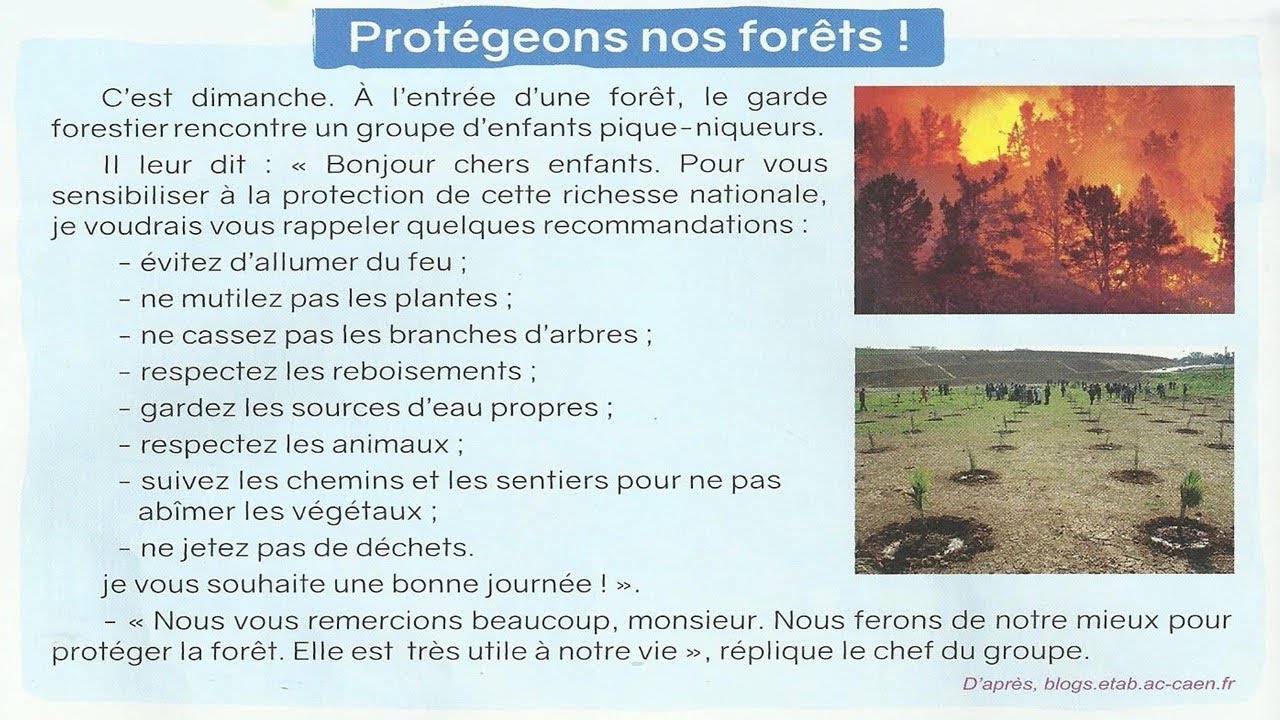 Lecture 3 : Protégeons nos forêts ! / unité 5 / sem 3 / page 156 / le ...