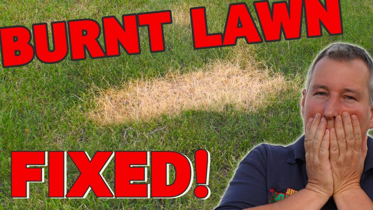 I BURNT the lawn! Here's how to fix any burn mark the EASY way - YouTube