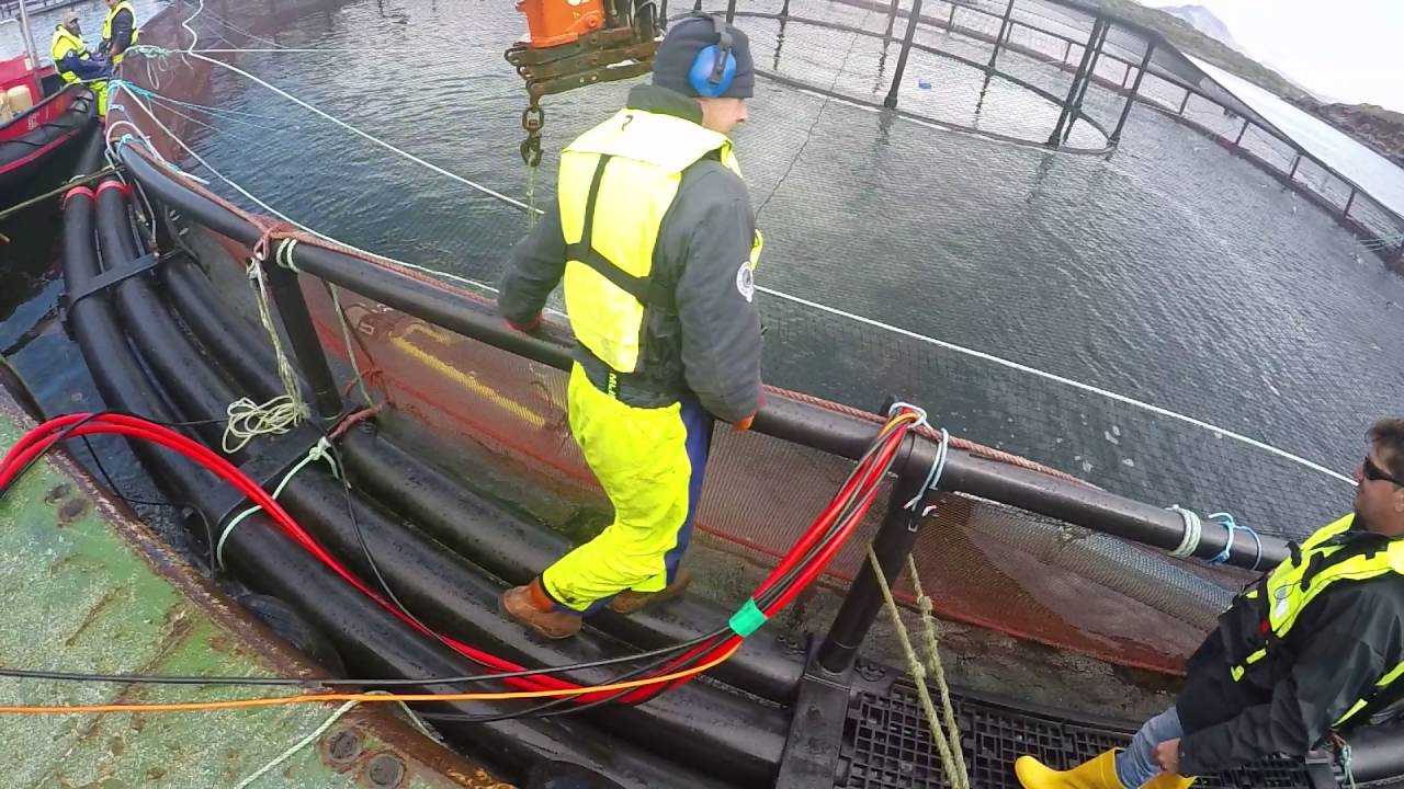 NET CLEANING R.O.N.C - YouTube