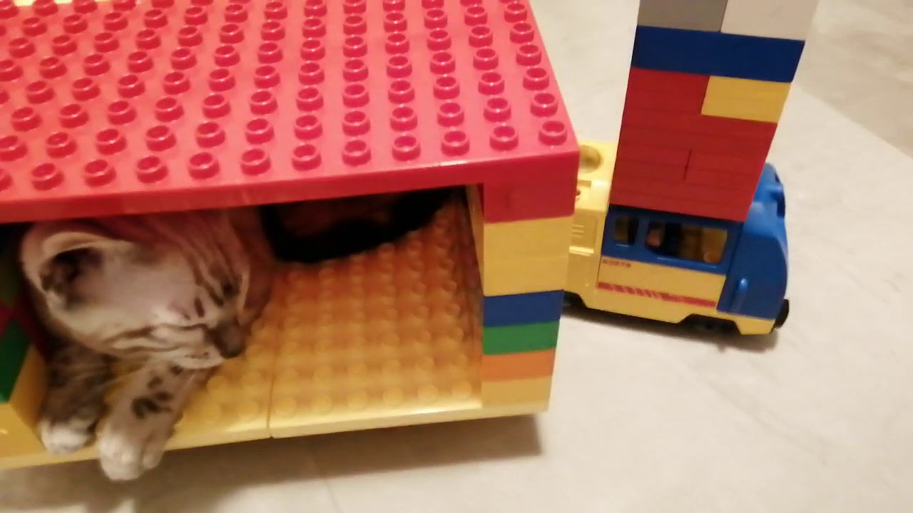 Lego Cat Train - YouTube