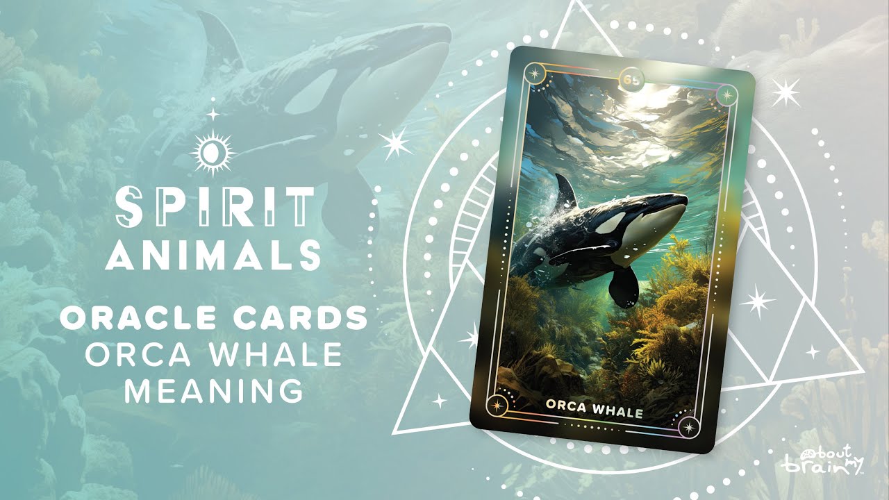 Orca Whale Spirit Animal | Symbolism & Meaning Explained - YouTube