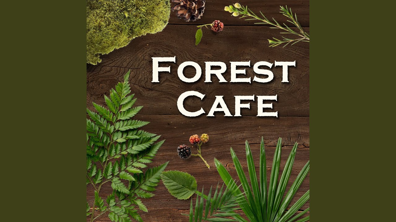 Forest Cafe - YouTube