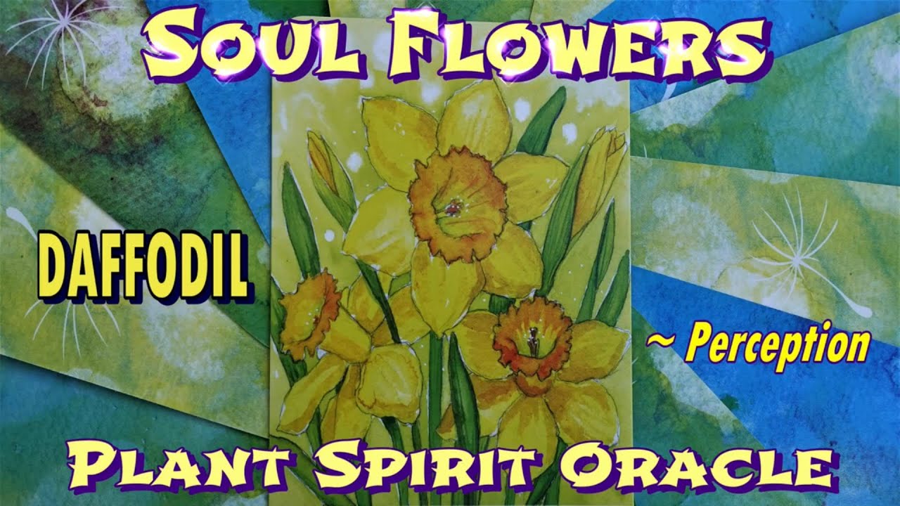 Flower Spirit: Oracle Card for the Day 🌼 DAFFODIL 🌼 Short Visual ...