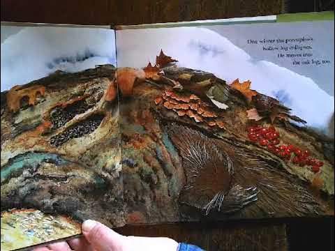 A Log's Life by Wendy Pfeffer/Robin Brickman - YouTube