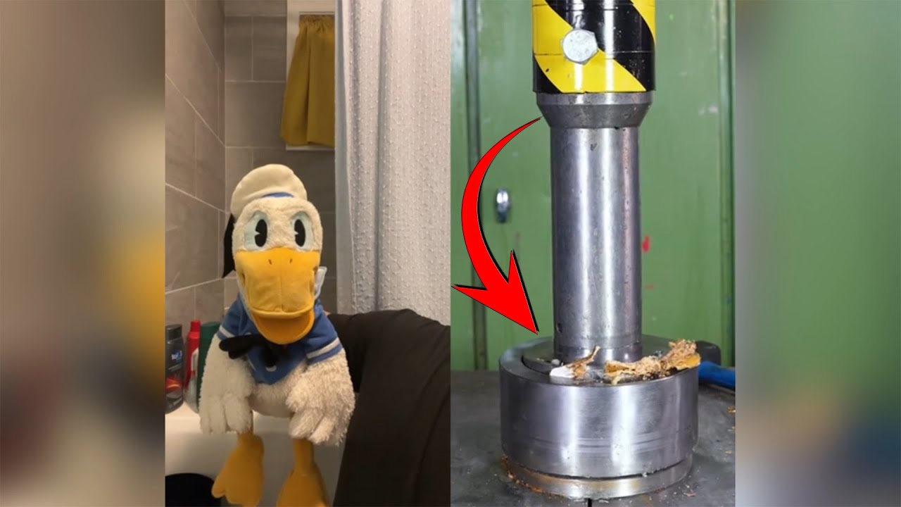 Donald Ducc TikToks That Will Make EVERYONE Laugh! (DO NOT LAUGH ...