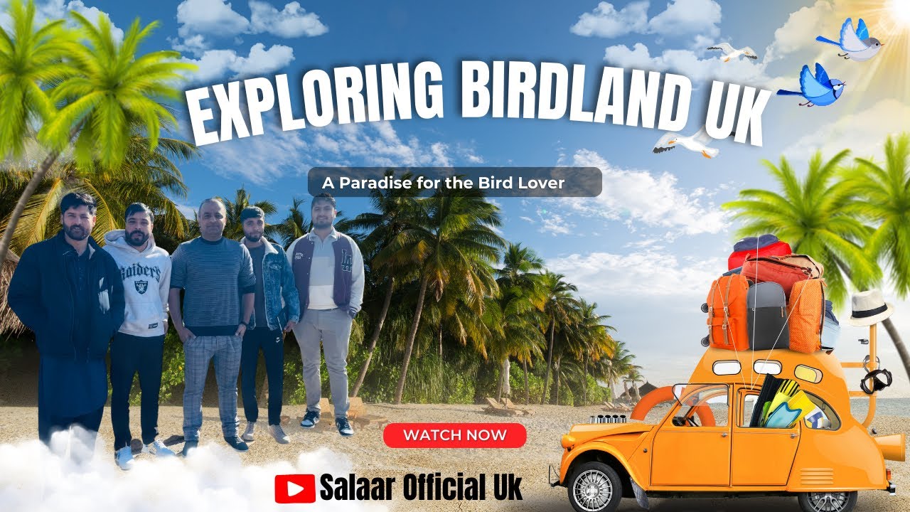 Exploring Birdland UK – A Paradise for Bird Lovers! - YouTube
