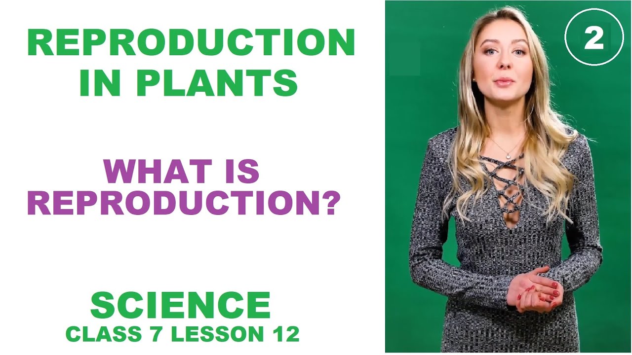 WHAT IS REPRODUCTION - REPRODUCTION IN PLANTS - SCIENCE CLASS 7 LESSON ...