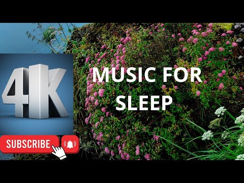 Rahatlaşdırıcı Musiqili Təbiət.Rahatlaşdırıcı Musiqi Azərbaycan Təbiəti.Təbiət . Relaxing Music.