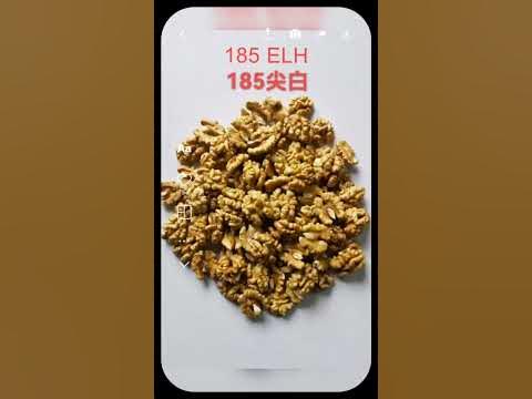 185 walnuts kernels processing. +86 13708927132 - YouTube