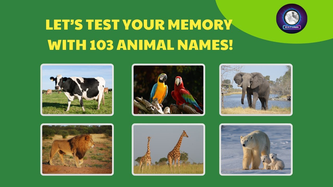 Guess the Animal Name – Fun English Quiz for Kids! - YouTube