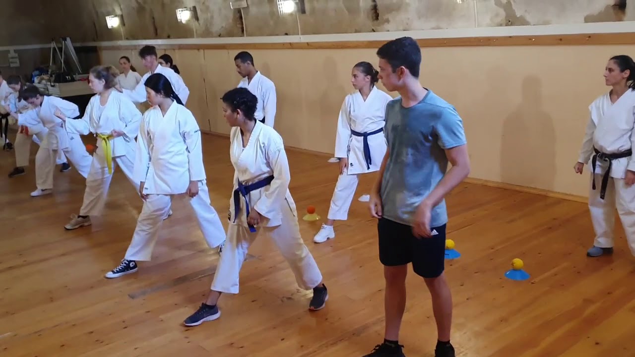 STAGE KARATE JUIN 2020 EPISODE 3 - YouTube
