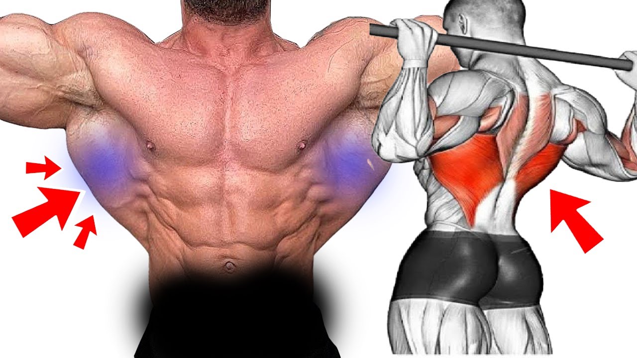 8 Big Back Exercises for Maximum Muscle Growth - YouTube