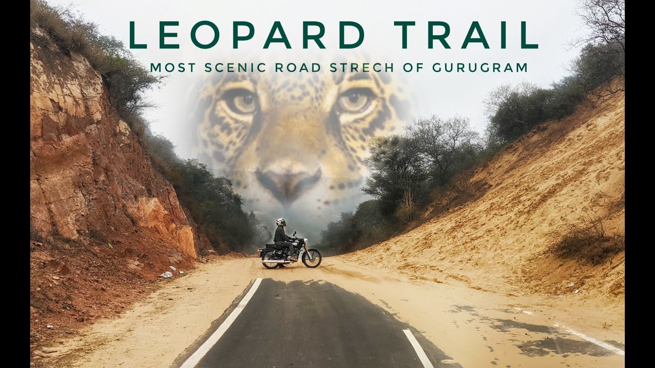 LEOPARD TRAIL | ARAVALI HILLS | THROTTLE SHROTTLE CAFE | BEST ROAD FOR ...