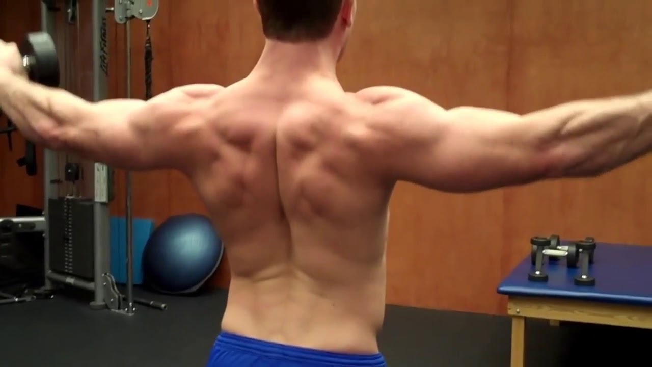 56 How To Dumbbell Side Lateral Raise Trim - YouTube