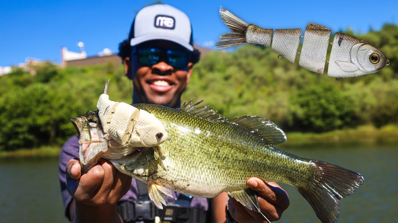 Fishing BIG Swimbaits For BIG BASS (GREATEST FISH CATCH OF THE YEAR ...