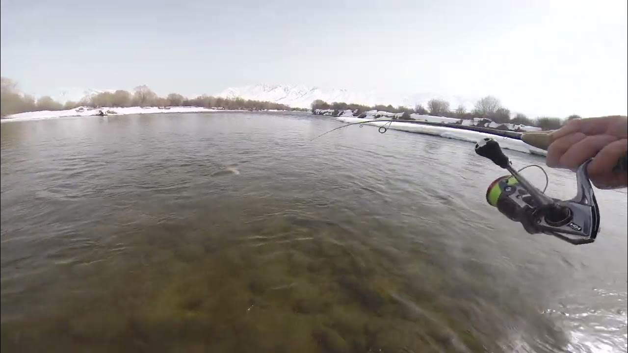 Форель на безлопастной воблер в начале сезона ! - YouTube