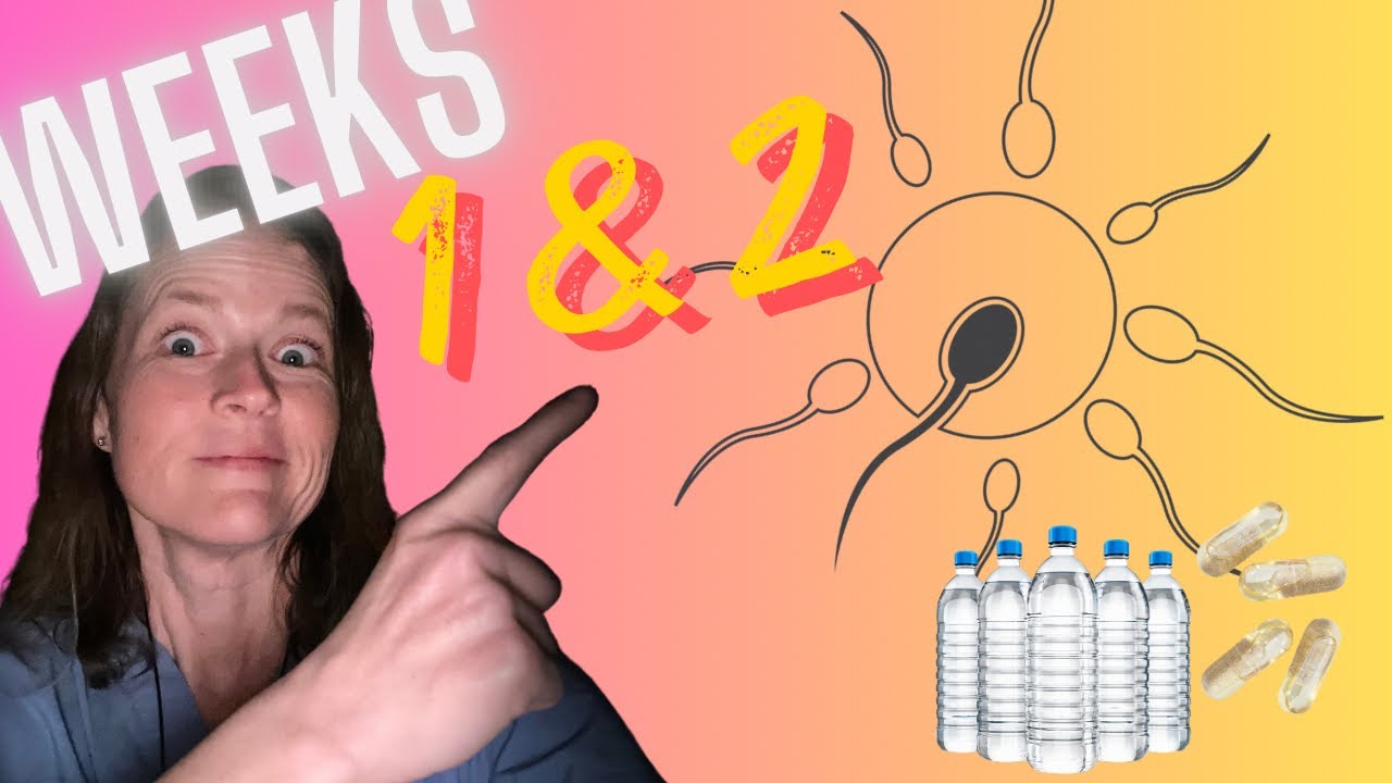 Pregnancy: weeks 1-2 - YouTube