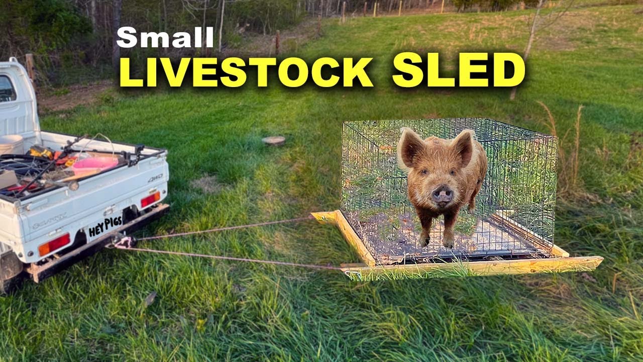 Building a Small Farm Animal Livestock Sled For Easy Transportation ...