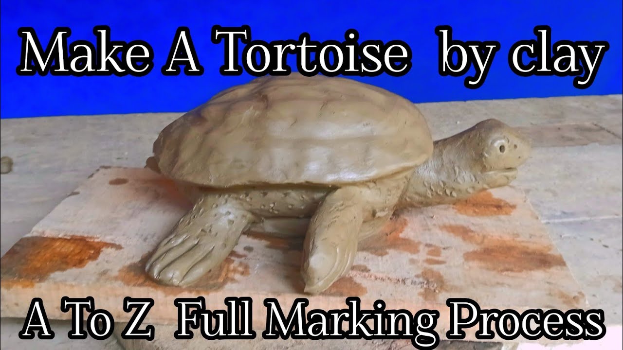 How To Make A Tortoise by clay process - YouTube