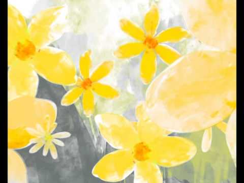 flower animation Motion Graphics Video Background Free Download HD ...