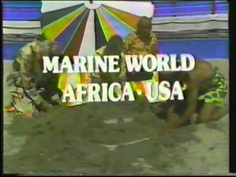 Captain Kangaroo, Debbie Weems, Dennis, Mr Grean Jeans, playing in the ...