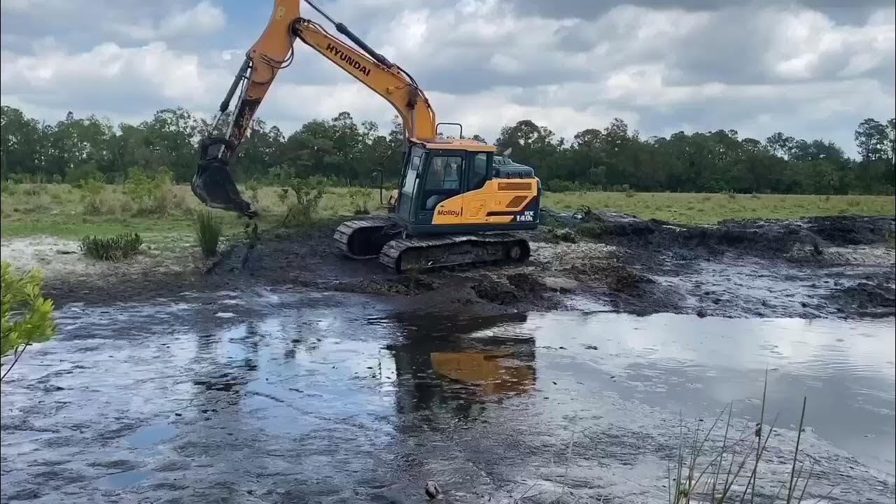 Playing In Cow Manure Youtube
