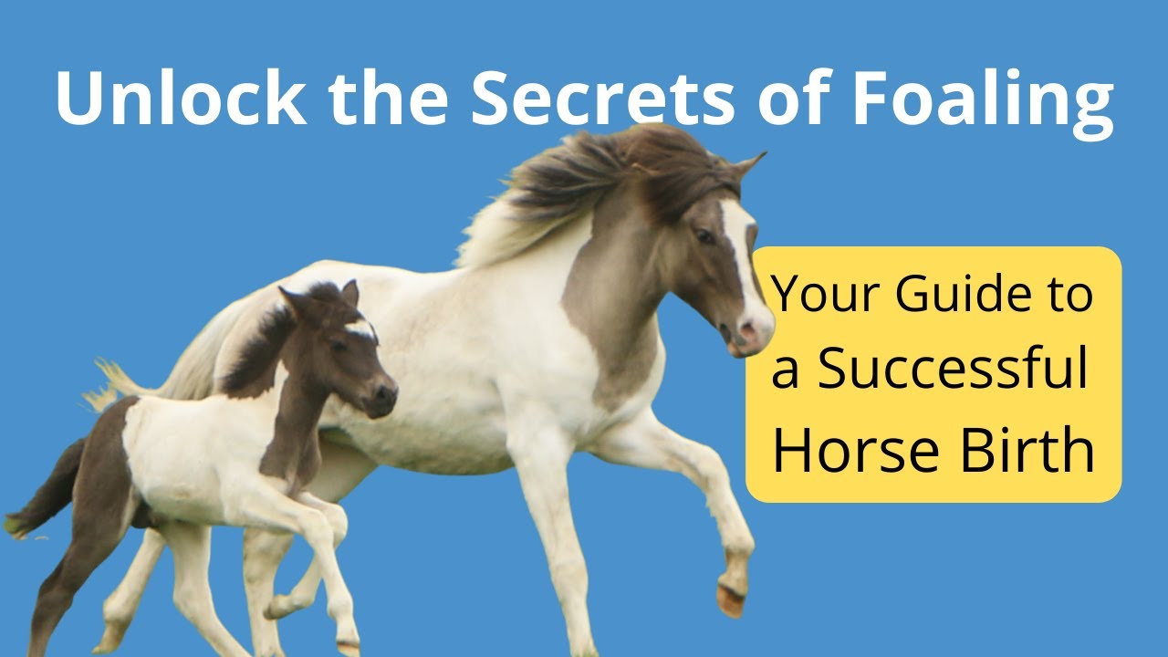 Foaling 101 - YouTube