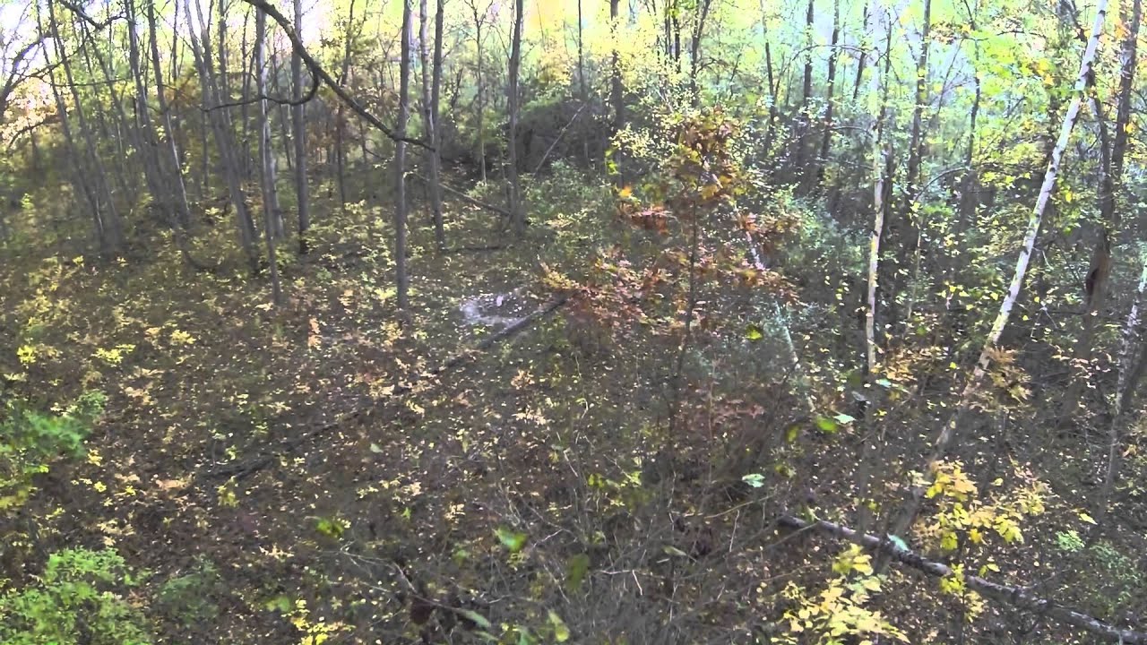 Michigan doe shot10 12 15 - YouTube