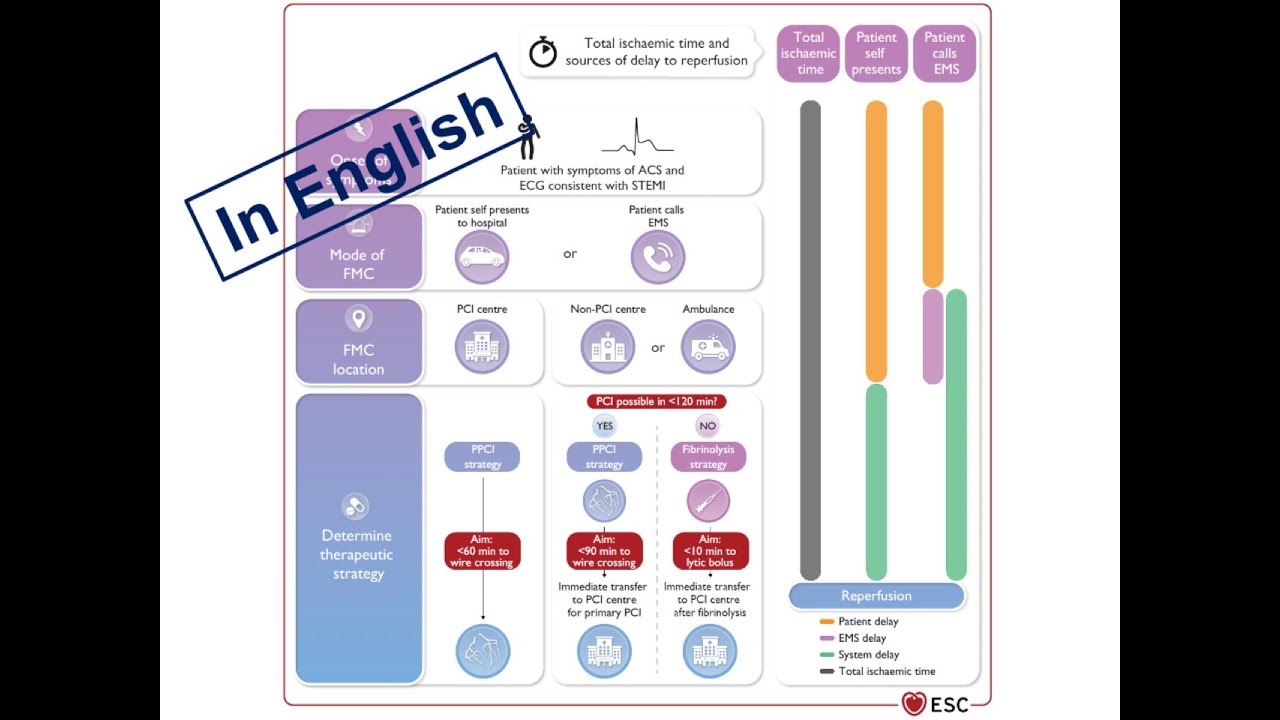ESC Guidelines of ACS: 3. Working Diagnosis of STEMI vs NSTE ACS ...