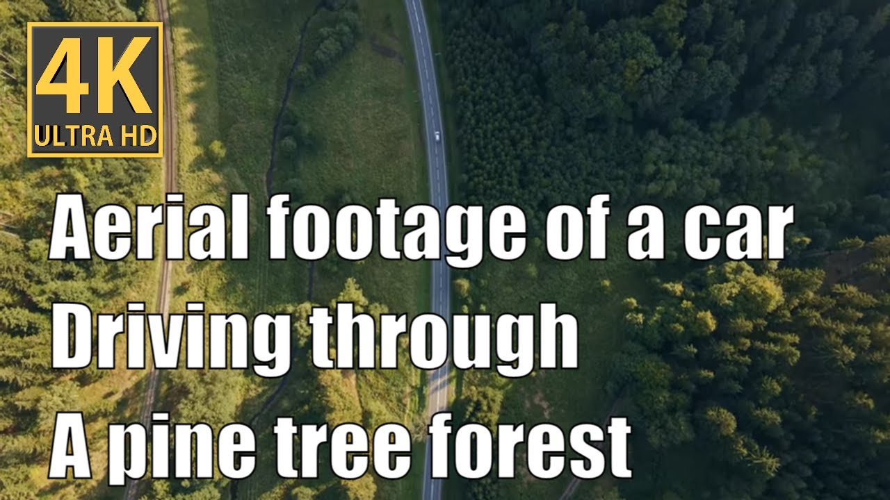 Aerial footage of a car driving through a pine tree forest. - YouTube